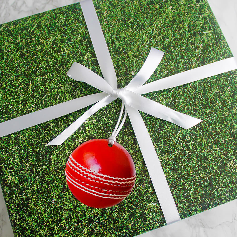 Cricket Pitch Wrapping Paper – Wit & Wisdom